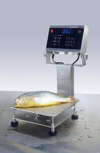 Why a Food Scale is Needed in Every Commercial Kitchen | OHAUS